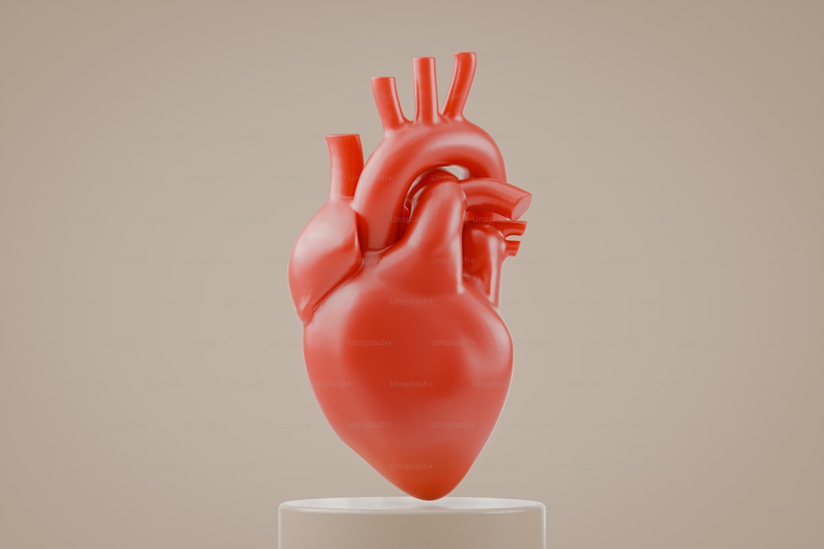 Relief Cardiovascular - - Start Medical Product Development