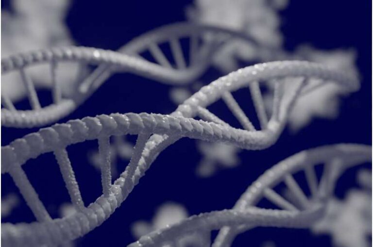 AI + genetic mutation = disease - Start Medical Product Development