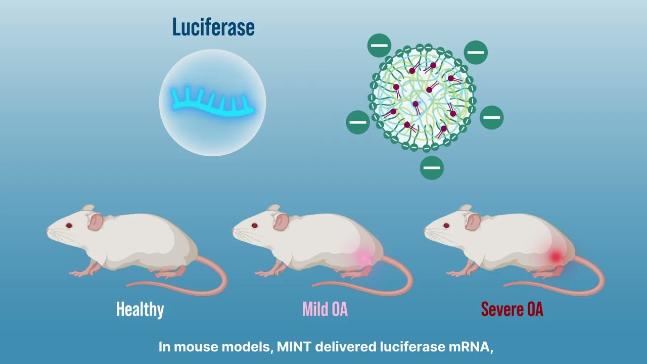 Nanoparticles focus Gene Therapy - Start Medical Product Development
