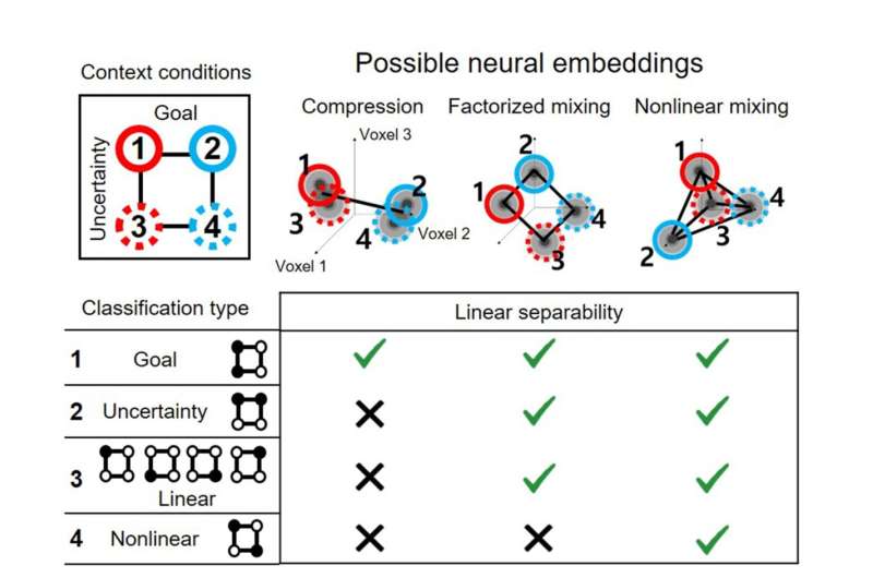 AI reveals brain decision process - Start Medical Product Development
